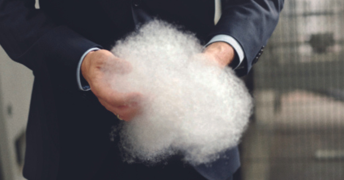 Naue: Eine Decke fürs Eis - brand eins online