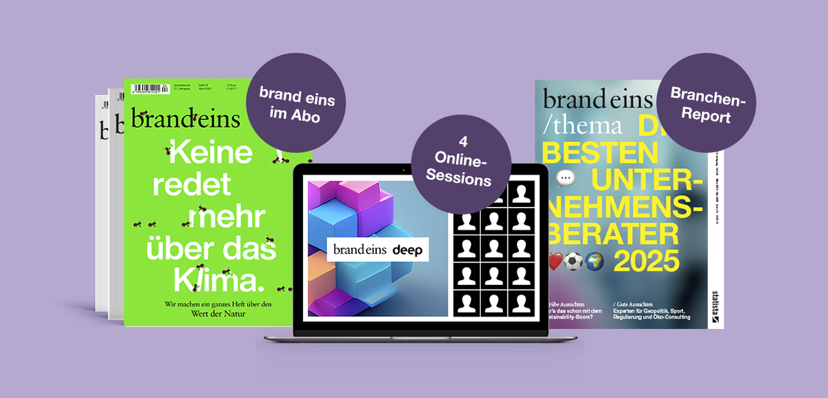 Die besten Unternehmensberater des Jahres 2025 - brand eins online