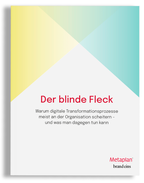 Metaplan: Whitepaper - brand eins online