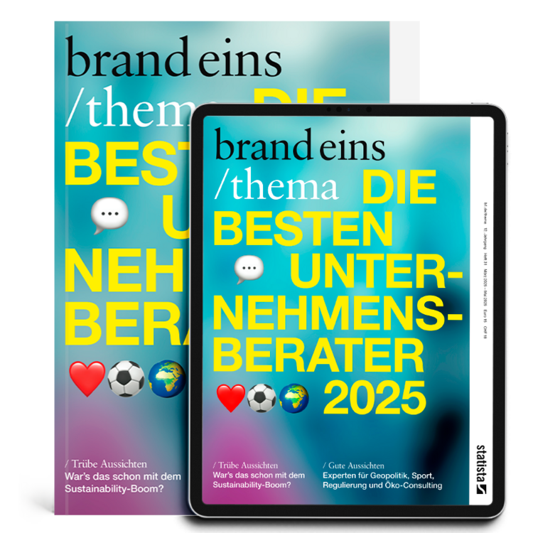 Print + Digital: brandeins /thema Unternehmensberater 2025 - brand eins ...